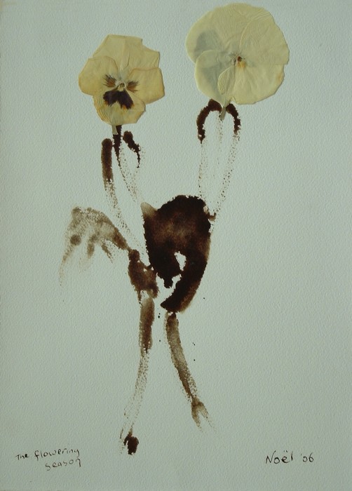 Red Zone (1995 - 2008)